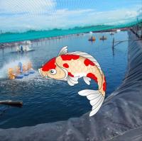 China Waterproof HDPE LDPE LLDPE Liners for Fish Pond Swimming Pool Reservoir Dam Landfill for sale