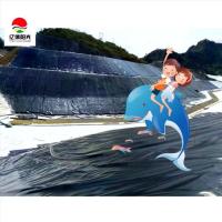 China Smooth and Textured HDPE Geomembrane Landfill Liners for Industrial Applications for sale