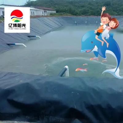 China Smooth Surface HDPE Geomembrane Liners 100% Virgin HDPE for Outdoor Fish Hatchery for sale