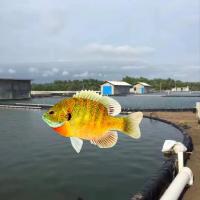 China White HDPE Geomembrane Liners for Aquaculture Pond Reservoir Dam 0.2mm-3mm Thickness for sale