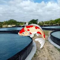 China Industrial Design Style Geomembranes The Preferred Geomembranes for Fish Pond Liners for sale