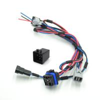China Heat Resistant Wire Tape Custom Automotive Wire Harness For Optimal Performance And Durability for sale