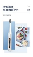China IPX7 Rechargeable Ultrasonic Toothbrush Ultrasonic Tooth Cleaner 0.2kg for sale