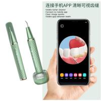 China OLED Display 5 Modes Ultrasonic Tartar Remover Sonic Tartar Dental Tartar Scraper Tool for sale