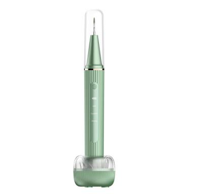 China 500mAh Ultrasonic Tooth Cleaner ABS PC Ultrasonic Scaler Dental for sale