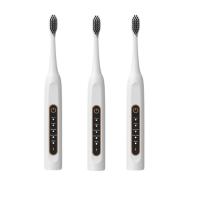 China Waterproof Ipx7 Sonic Electric Toothbrush 31000 Times/Min for sale