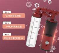 China 0.3MM Nano Atomization Portable Handheld Oxygen Injector USB Rechargeable for sale