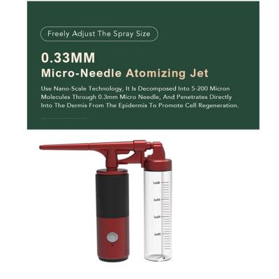 China 140KPA Handheld Oxygen Injector Barber Airbrush Gun 8W 5V for sale