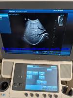 China C5-3E Abdominal Ultrasound Probe Of The New Original Mindray DC-8 Ultrasound Diagnosis System for sale