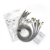 China 2104724-002 ECG Leadwires and Trunk Cables 10 leads for sale