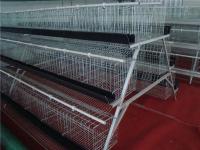 China 20 Years Broiler Chicken Cage Automatic Control Ventilation And Temperature for sale
