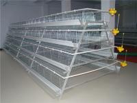 China 96-160 Birds A Type Poultry Cage Full Automatic High Rearing Efficiency for sale