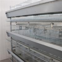China Automatic H Type Layer Chicken Cage Hot Galvanized Steel for sale