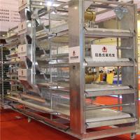 China H Type 4 Layer 4 Door Baby Chick Cage Hot Galvanized Steel for sale