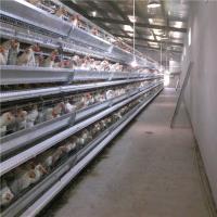 China One Day Old 5 Door Baby Chick Cage H Brooding 4 Tiers For Chickens for sale