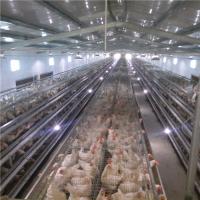 China Automatic Chicken Layer Cage 4 5 Tiers HDG H Frame Egg for sale