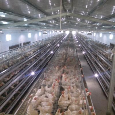 China Automatic Chicken Layer Cage 4 5 Tiers HDG H Frame Egg for sale