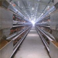 China H Frame 256 Birds Battery Cage System In Poultry Farm Automatic Cleaning for sale