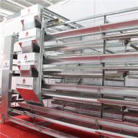 China Farming 4 Door H Layer Chicken Cage With Nipple Drinker for sale