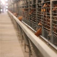 China Hot Dipped Galvanized H Frame Automatic Battery Animal Cage/Chicken Layer Cage/Chicken Layer Battery Cage For Sale for sale