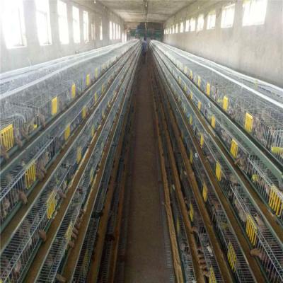 China Q235 Steel Wire 5 Tiers Quail Cage 15-20 Years Warranty for sale