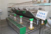 China 2 Tiers 24 Cells Farm Rabbit Cage Hot Dipped Galvanized Wire Mesh for sale