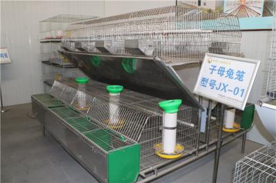 China 2 Tiers 24 Cells Farm Rabbit Cage Hot Dipped Galvanized Wire Mesh for sale