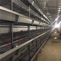 China 4 Tier H Type Baby Chick Cage 192 Birds Brooding Design for sale