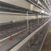 China 4 Tier H Type Baby Chick Cage 192 Birds Brooding Design for sale
