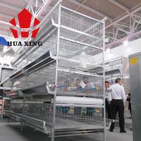 China Automatic Broiler Chicken Cage For Animal Poultry Husbandry Livestock Durable for sale
