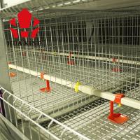 China Automatic Broiler Chicken Cage For Animal Poultry Husbandry Livestock Durable for sale