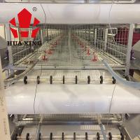 China Automatic Broiler Chicken Cage For Animal Poultry Husbandry Livestock Durable for sale