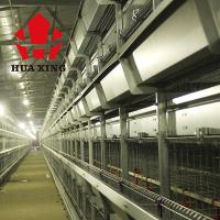 China Automatic Broiler Chicken Cage For Animal Poultry Husbandry Livestock Durable for sale