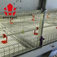 China Automatic Broiler Chicken Cage For Animal Poultry Husbandry Livestock Durable for sale