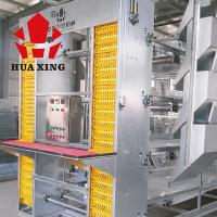 China Eggs Collecting Layer Poultry Farming Equipment , Steady Poultry Automation Equipment for sale