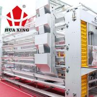 China Eggs Collecting Layer Poultry Farming Equipment , Steady Poultry Automation Equipment for sale