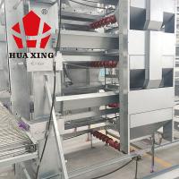 China Rational Structure Automatic Water Feeder For Chickens / Automatic Poultry Feeder For Broiler for sale