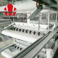 China 0.3M Automated Poultry Equipment , Livestock / Poultry Manure Removal System for sale