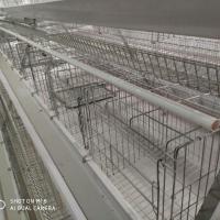 China Battery Power Layer Chicken Cage With Belt / Scraper Manure Removal System for sale