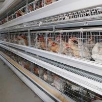 China A Type Layer Poultry Chicken Cage System Hot Galvanized Q235 Steel Wire Material for sale