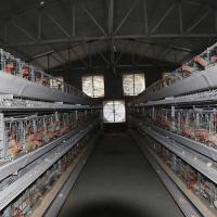 China Corrosion Resistance Open House Battery Cage System , Durable Layer Farming Cage for sale