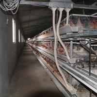 China Large Capacity Farm Layer Chicken Cage Battery Power Hot Dipped Gavalnized Material for sale