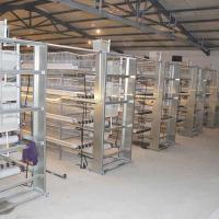 China Auto Feeding Egg Laying Chicken Cages , Q235 Steel Wire Layer Bird Cage for sale