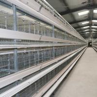 China Coop Rearing Poultry Farming Battery Cage System , A Type Layer Cages For Chicken for sale