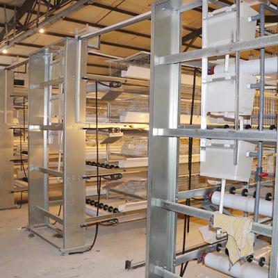 China Galvanized Wrie Battery Cages For Laying Hens , Egg Chicken Cage Labor Saving for sale