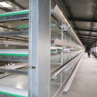 China Egg Holding Wired Layer Farming Cage , Scientific Designed Layer Hen Cages for sale