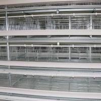 China Egg Holding Wired Layer Farming Cage , Scientific Designed Layer Hen Cages for sale