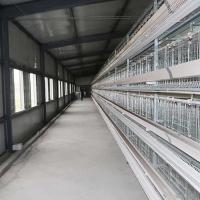 China Egg Holding Wired Layer Farming Cage , Scientific Designed Layer Hen Cages for sale