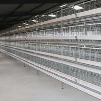 China Stable Running Poultry Layer Cage , Automatic Control Chicken Coop Cage for sale