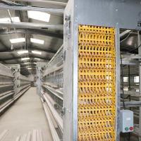 China High Efficiency Poultry Chicken Cage 90 - 160 Birds / Set Rigid Frame for sale